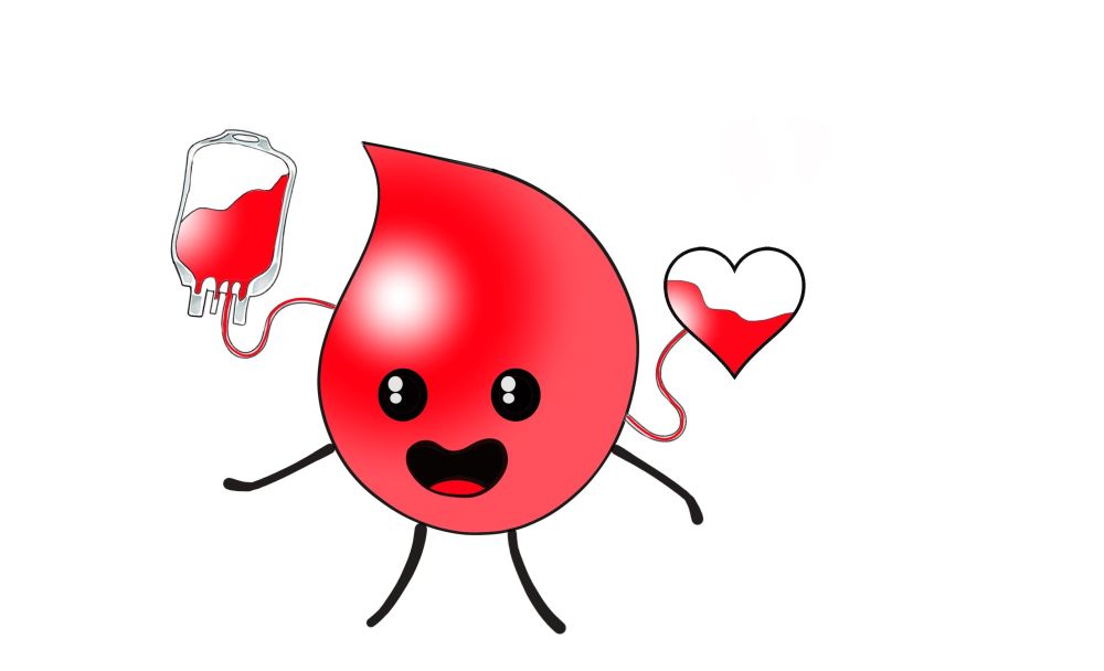 SERMERSHEIM-KOGENHEIM : Merci aux donneurs | UNION DEPARTEMENTALE DES ...